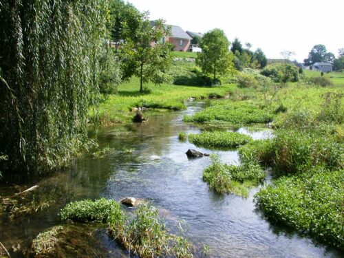 What Is a Mitigation Bank? – Ecotone, Inc