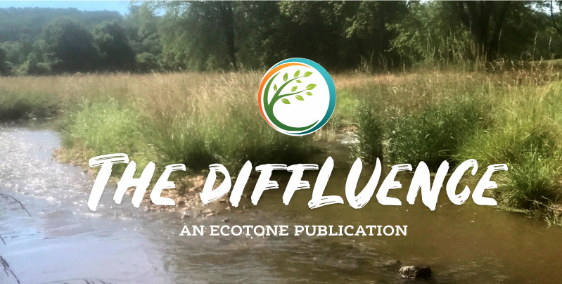The Diffluence – Ecotone, Inc