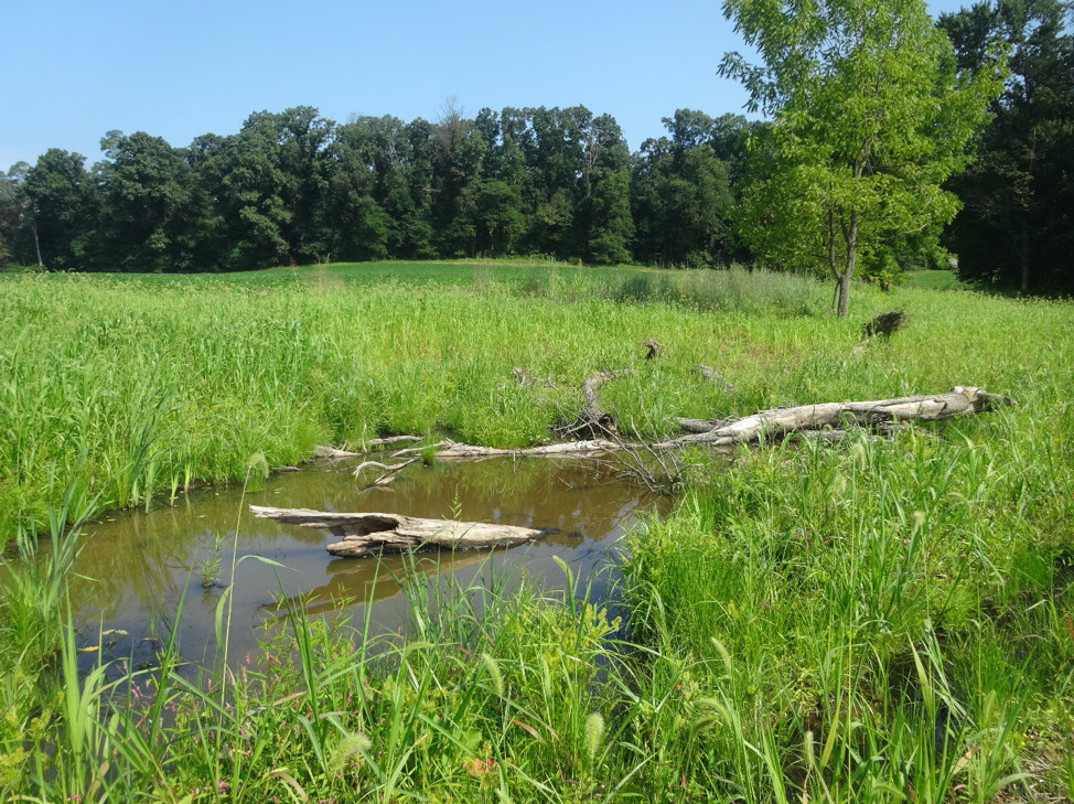 First Mine Run – Ecotone, Inc