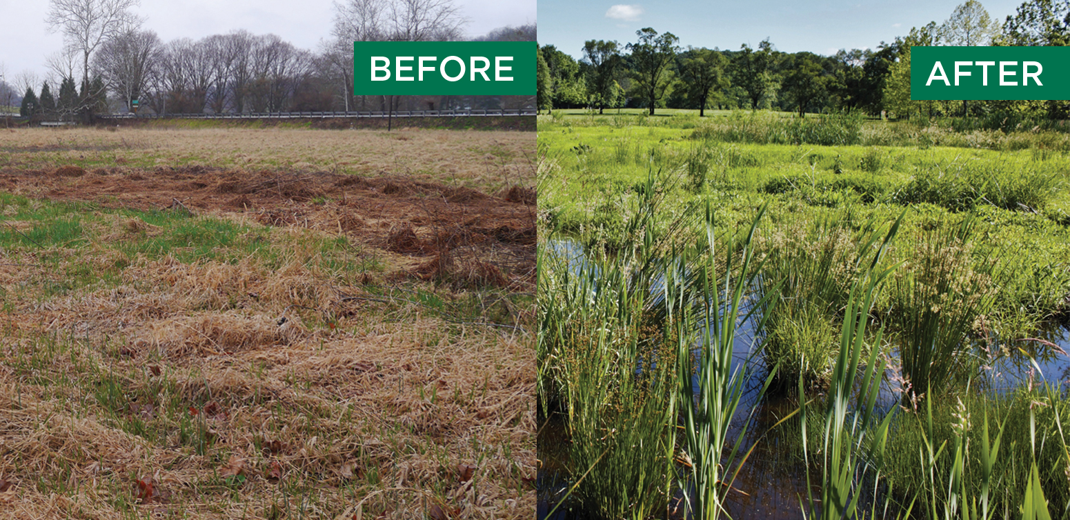 Ecotone and L2 Capital Partners Team Up to Increase Environmental ...