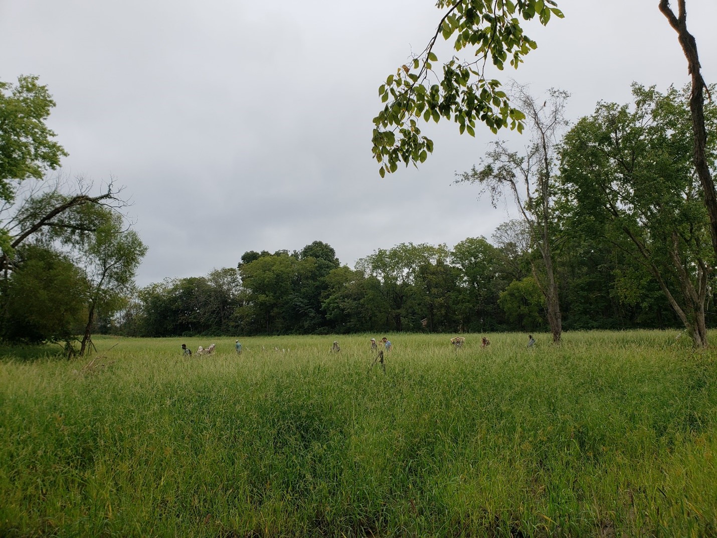 Training – Ecotone, Inc