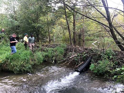 Training – Ecotone, Inc