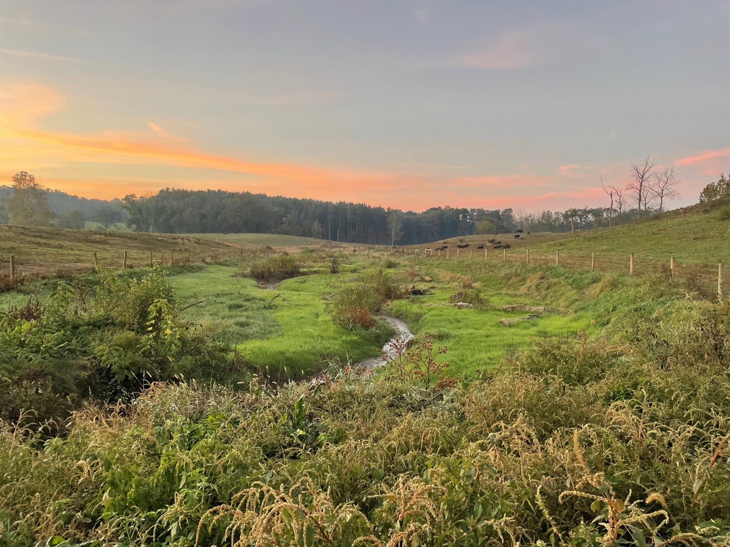 A Strong Partnership for Agricultural BMP Success – Ecotone, Inc